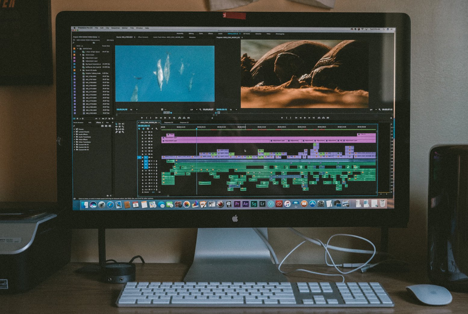 5 Tips to Organize Projects And Clips IN Adobe Premiere Pro